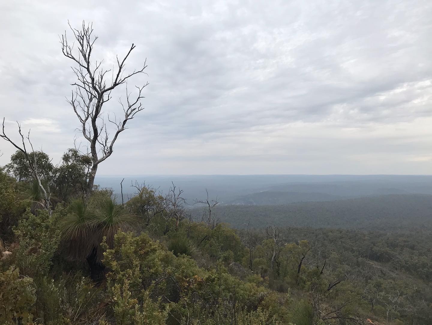 Perth Hills Climate Change Interest Group Inc. – Join us!